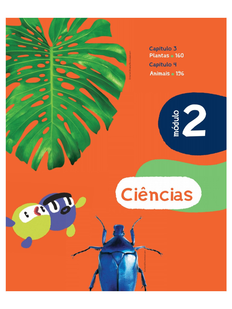 2º Ano Mod. 2 | PDF