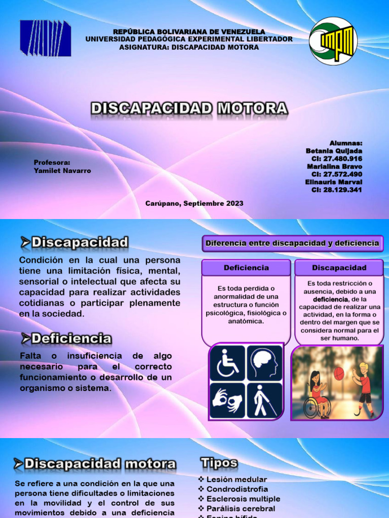 Discapacidad Motora: Definición y Contexto | PDF