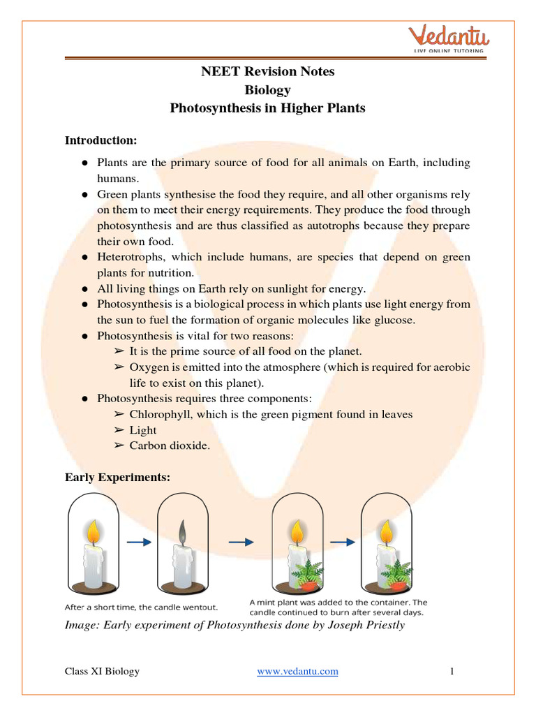 Photosynthesis in Higher Plants Class 11 Notes NEET Biology (PDF) | PDF