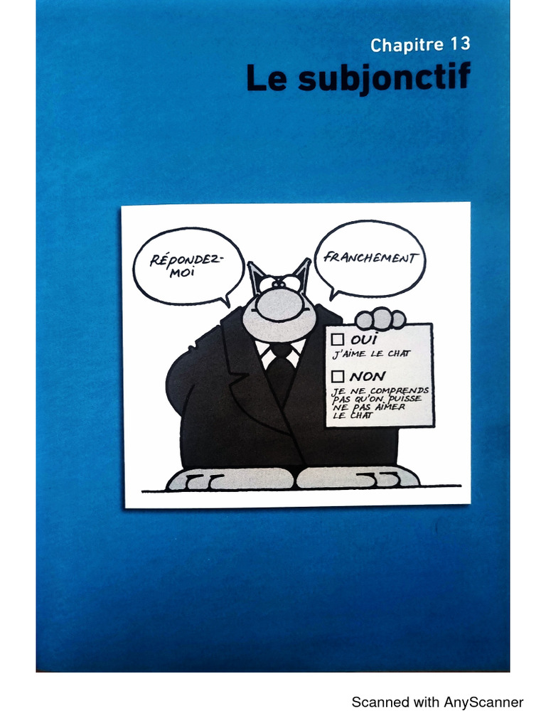 Le Subjonctif Grammaire Des Premiers Temps B1-B2 | PDF