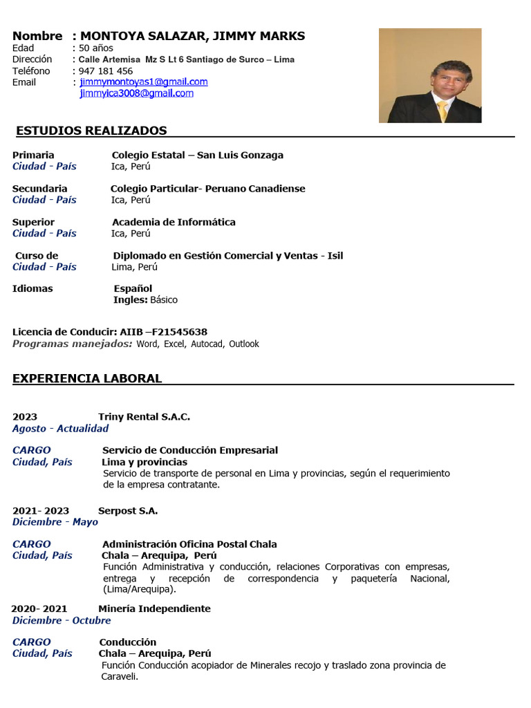 CV Montoya Salazar Jimmy Marks | PDF | Perú | Lima