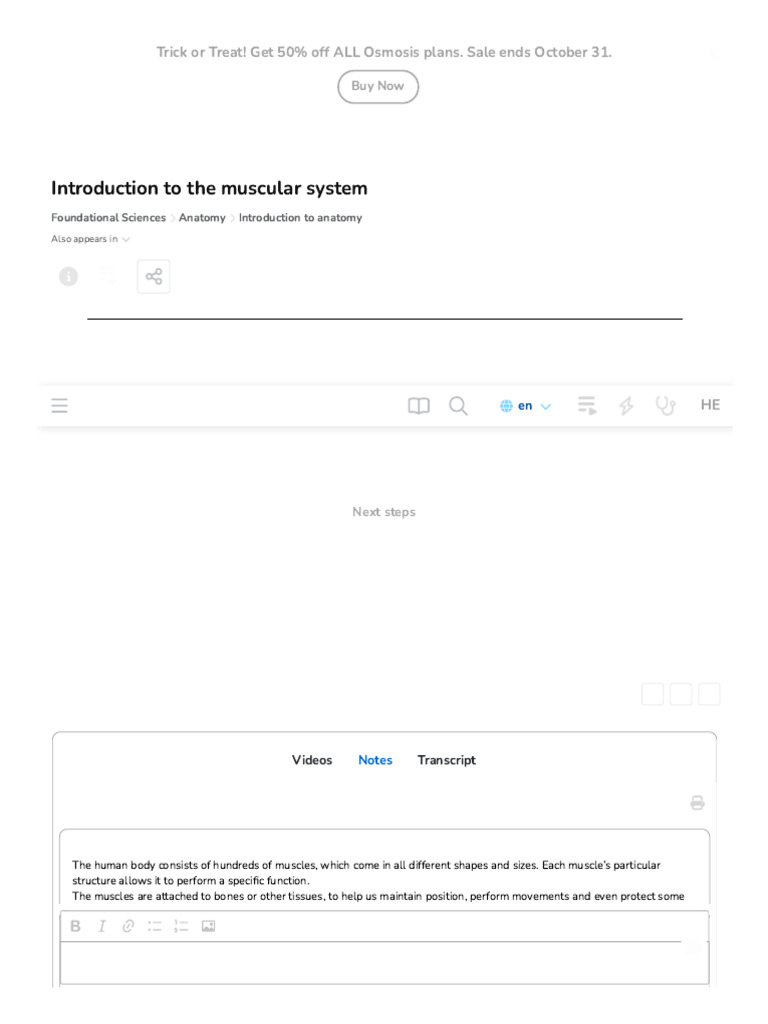 Introduction To The Muscular System - Video & Anatomy - Osmosis | PDF ...