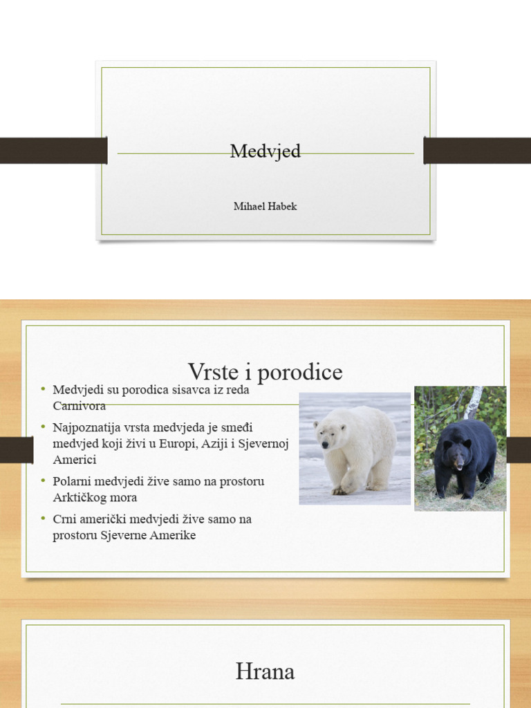 Medvjed | PDF