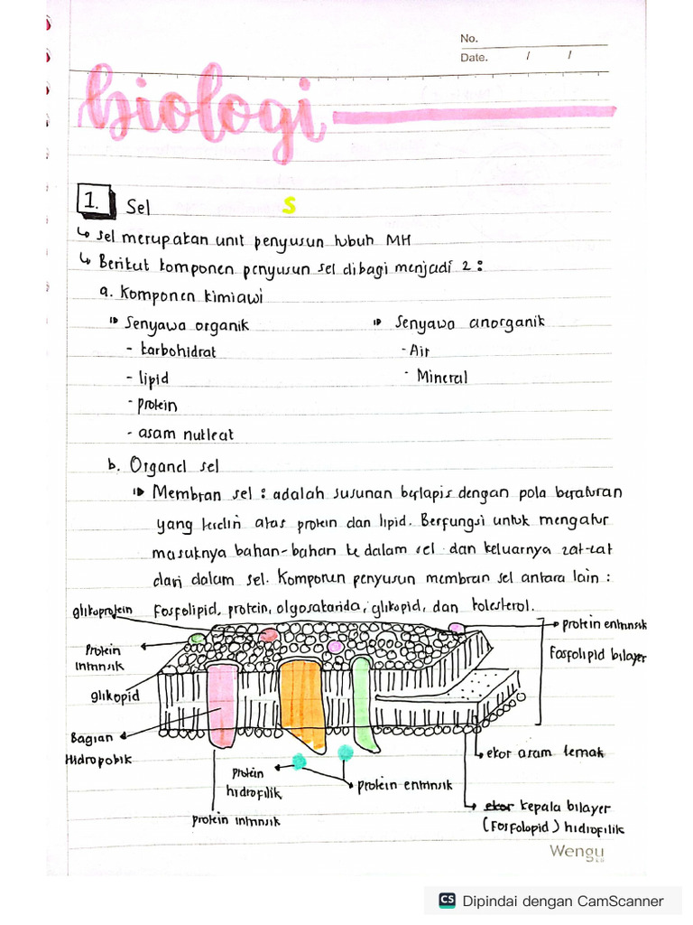 Catatan Biologi Sel | PDF