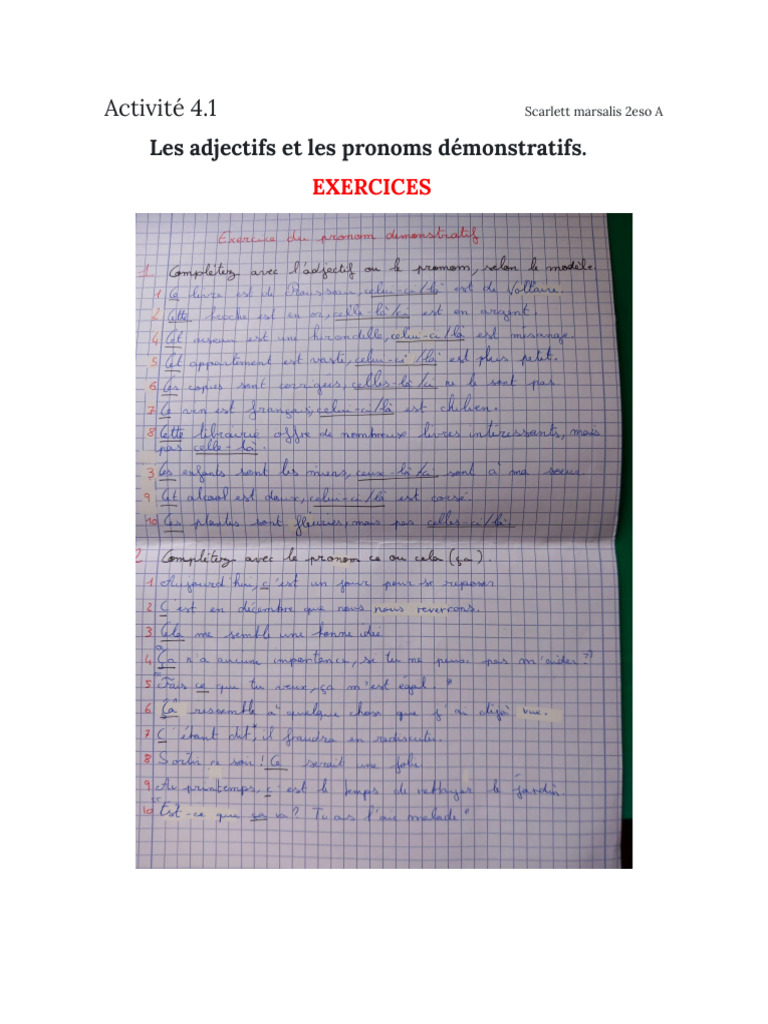 Les Adjectifs Et Les Pronoms Démonstratifs. | PDF