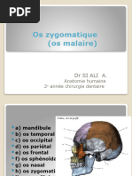 L'os Zygomatique | PDF | Tête et cou chez l'humain | Anatomie humaine