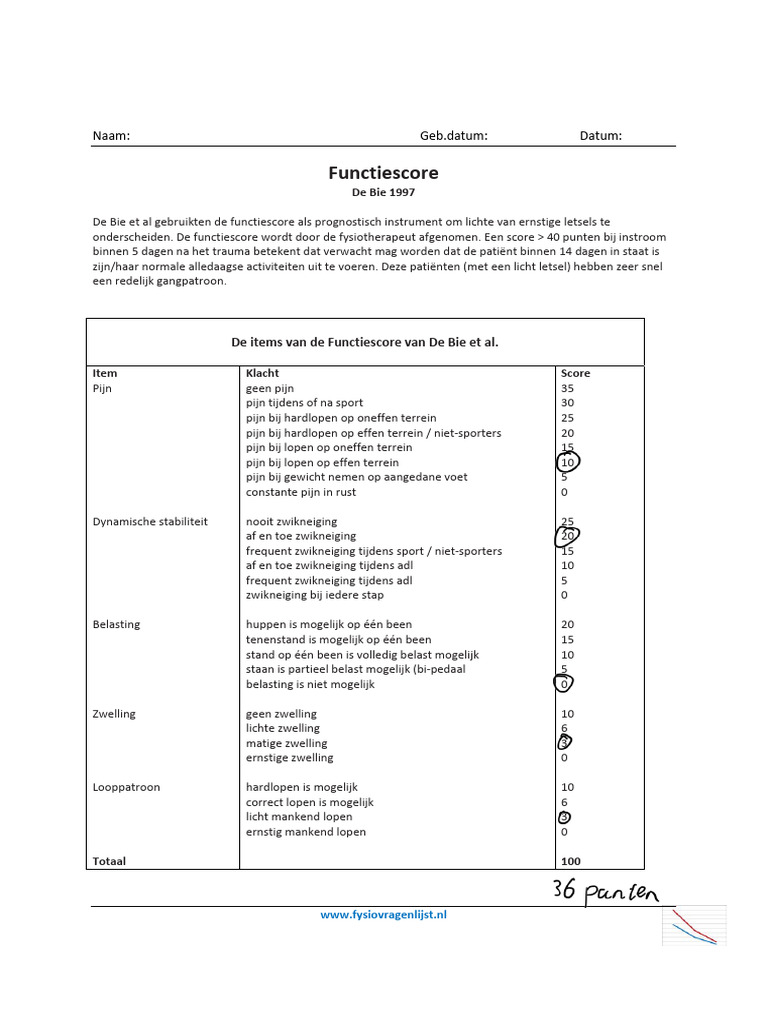 Open Functiescore-de-Bie | PDF