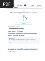 Anatomie Van de Heup | PDF