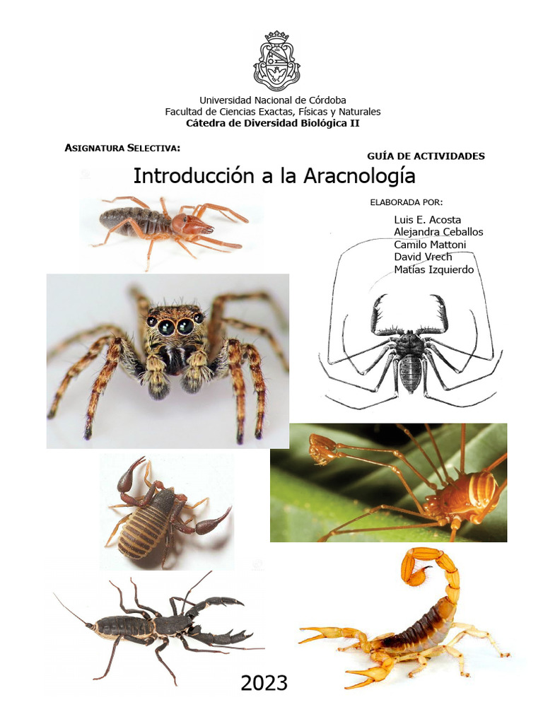 Guía Introducción A La Aracnología 2023 | PDF