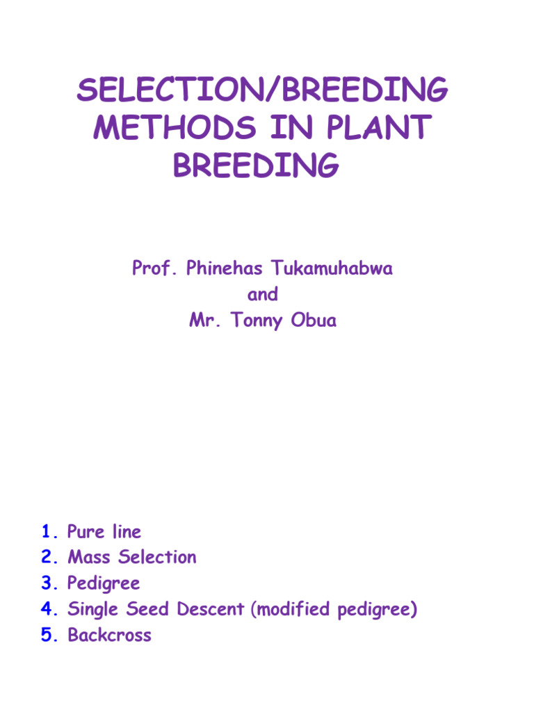 Selection Methods in Plant Breeding | PDF | Plant Breeding | Natural ...