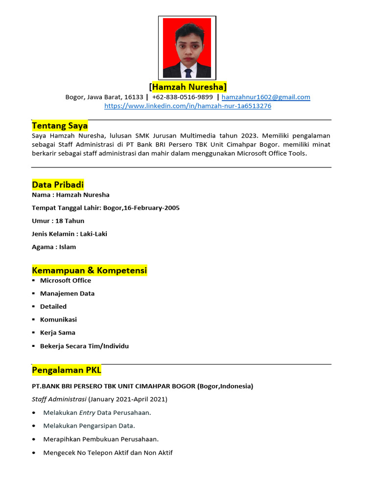 CV Hamzah Nuresha | PDF