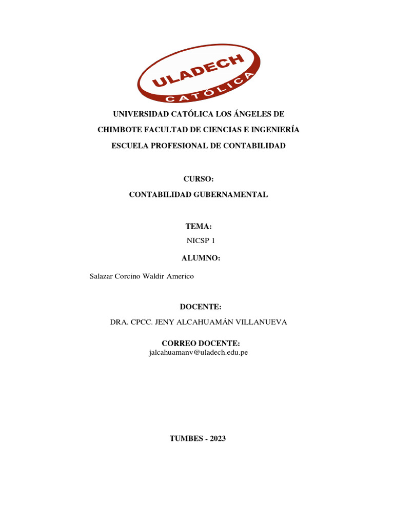 01 Resumen Nicsp 1 Yjfdr | PDF | Estado financiero | Contabilidad