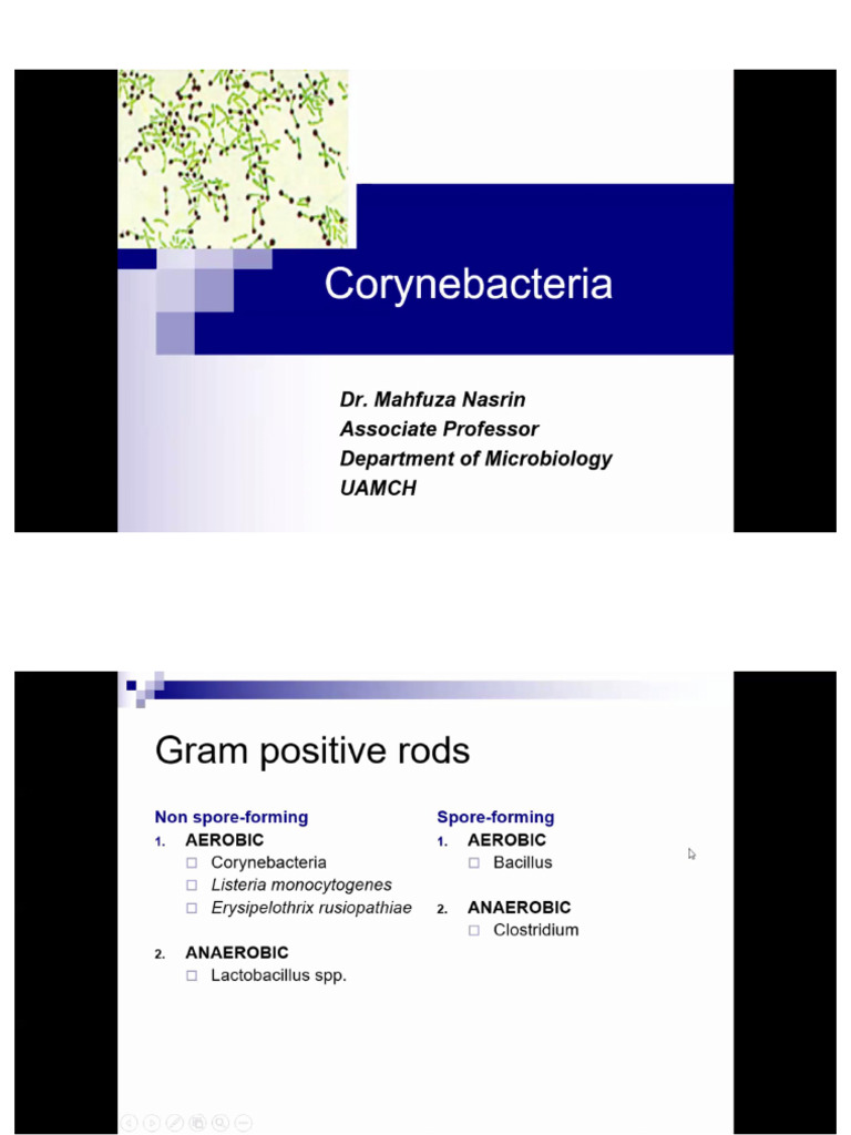 Corynebacterium, Listeria, Bacillus | PDF