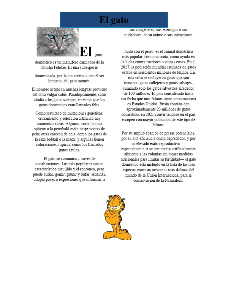 El Gato | PDF | Gatos | Mamíferos