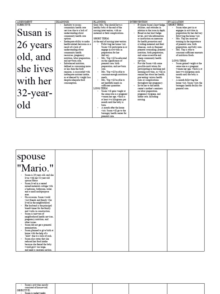 CHN 211 Week 5 Assignment Family Nursing and Nursing Process | PDF | Prenatal Development ...