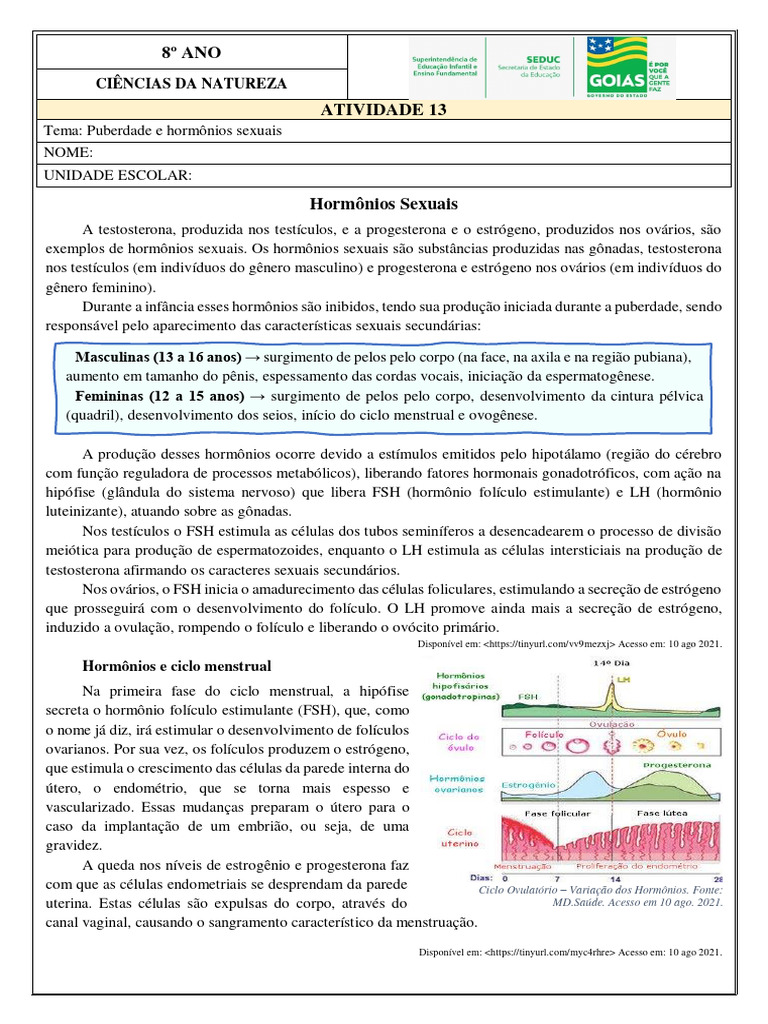 Atividade 13 8o Ano CIE Puberdade e Hormonios Sexuais | PDF | Puberdade | Hormônio luteinizante