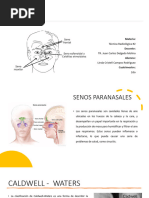 Técnica Mento-Naso-Placa en Radiología | PDF | Cabeza y cuello humanos ...