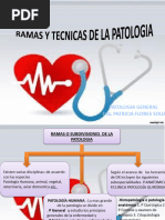 Medio de Transporte Stuart en Microbiología | PDF | Patologia clinica ...
