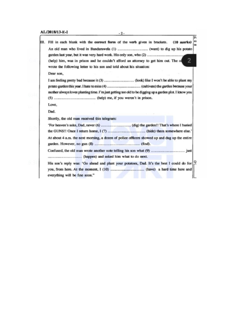 Chamidi Paper | PDF