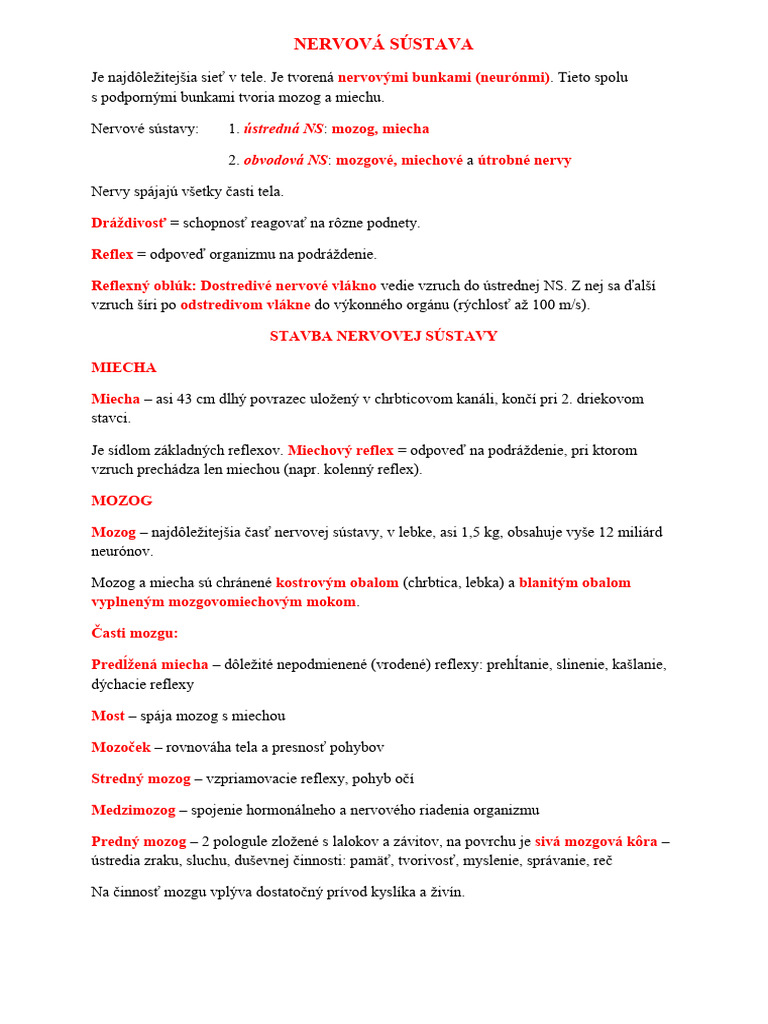 Nervová Sústava | PDF