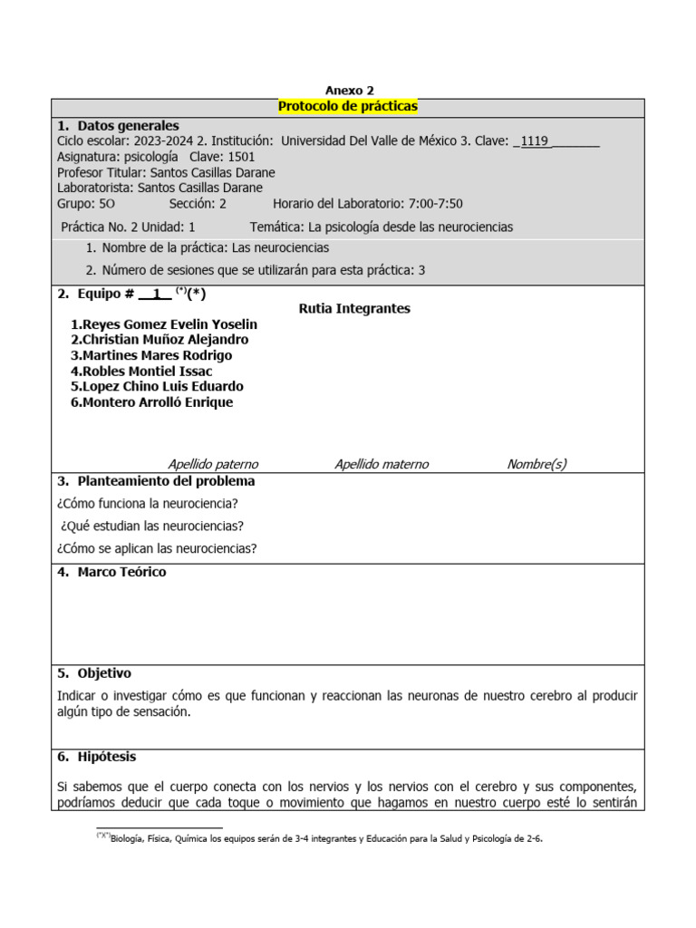 Protocolo 5 | PDF | Neurociencia