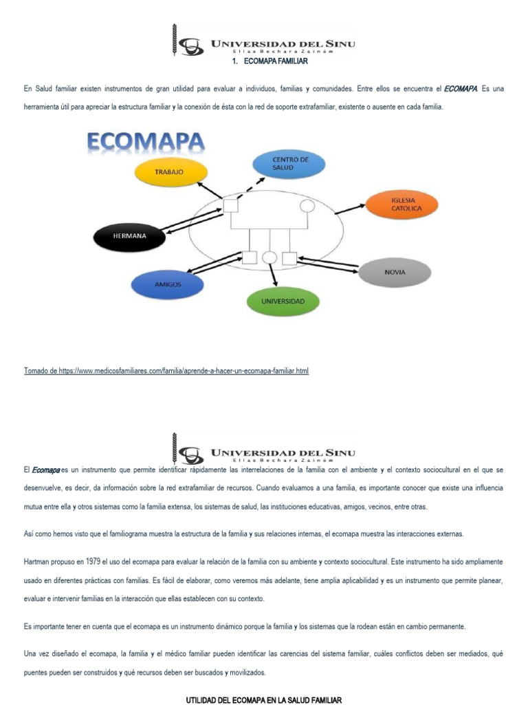Guia para Realizar Ecomapa | PDF
