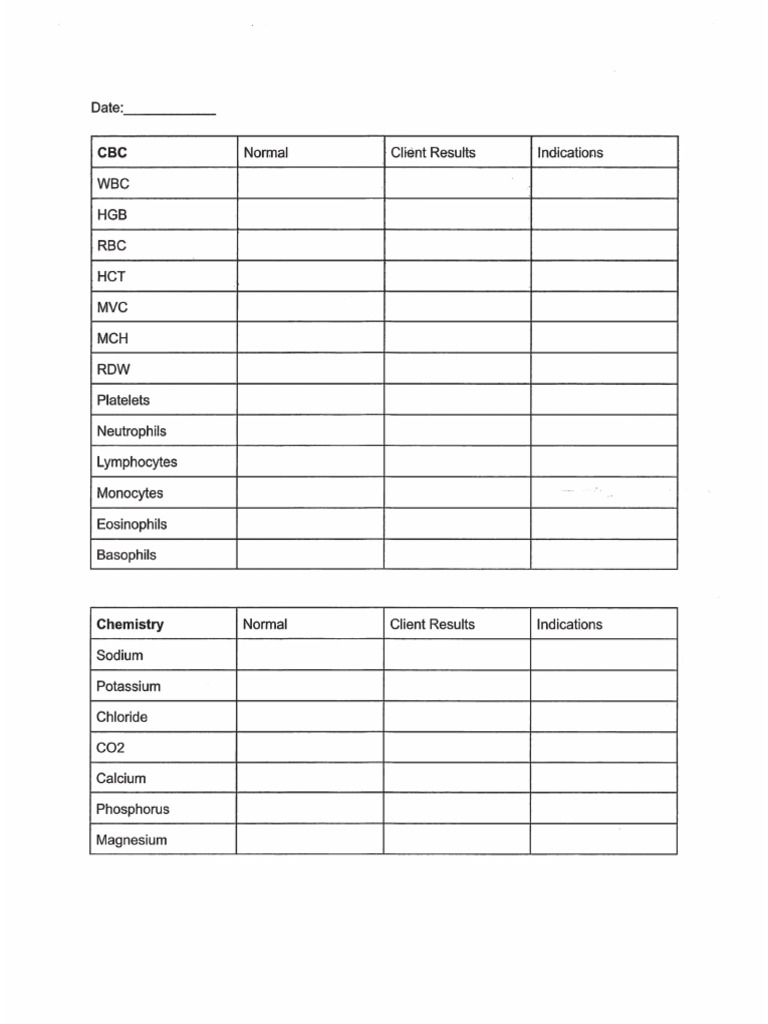 Fillable Lab Sheet | PDF