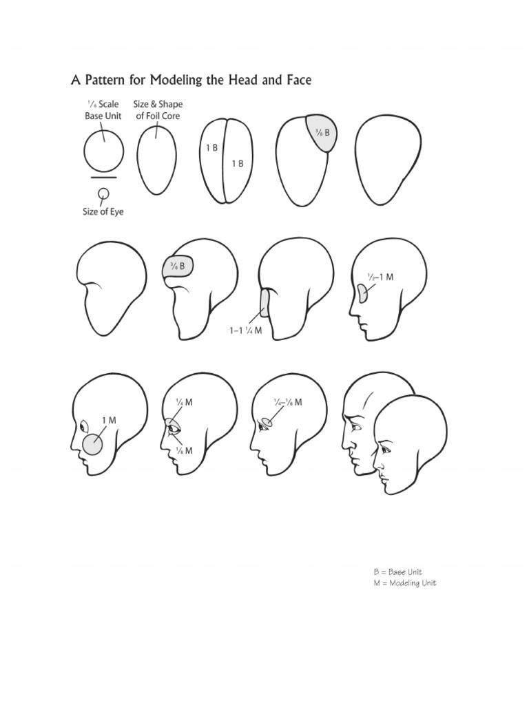 Modeling The Head and Face | PDF