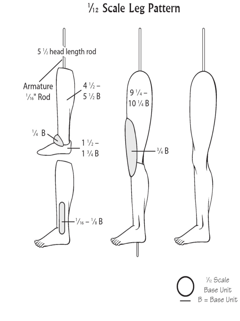 One Twelfth Scale Leg Pattern | PDF | Nature