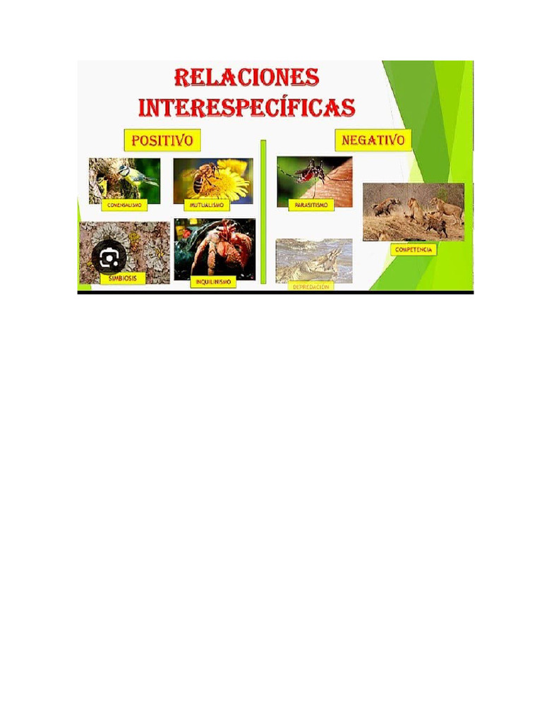 Imprimir Dilan | PDF