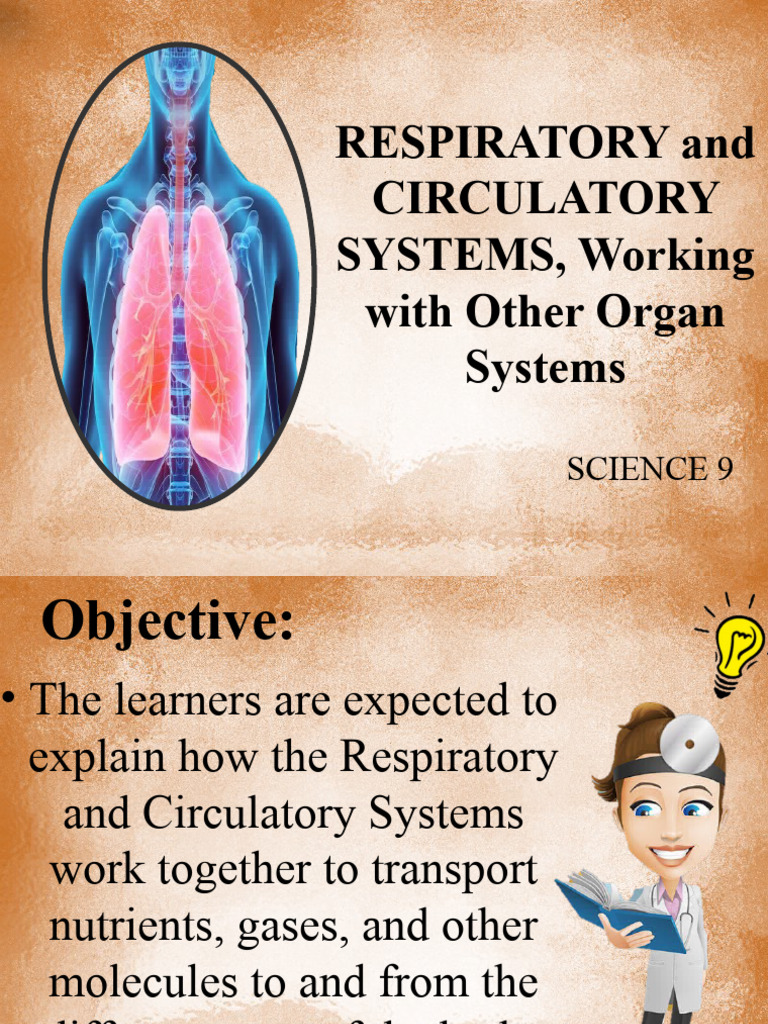 Q1 W1 Respiratory System and Circulatory Systems Working Together | PDF