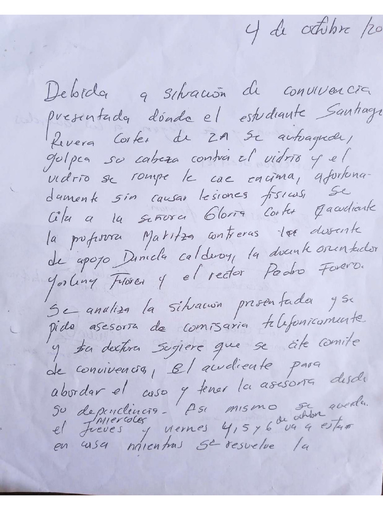 Observaciones Desann | PDF