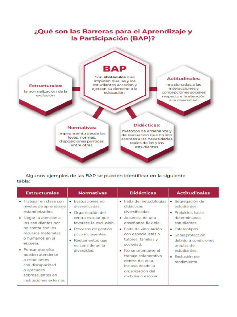 Infografia de Bap Con Ejemplos | PDF