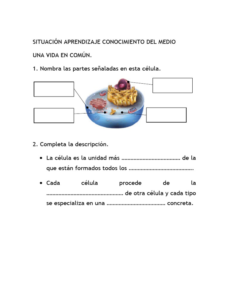 Una Vida en Común Situación de Aprendizaje | PDF | Tracto ...