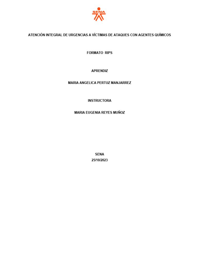 Anexo Formato RIPS | PDF