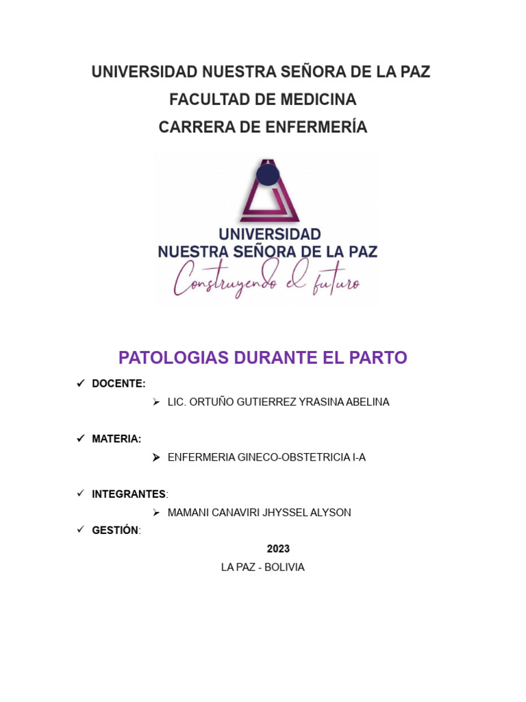 Gineco Obstetricia | PDF | El embarazo | Anemia