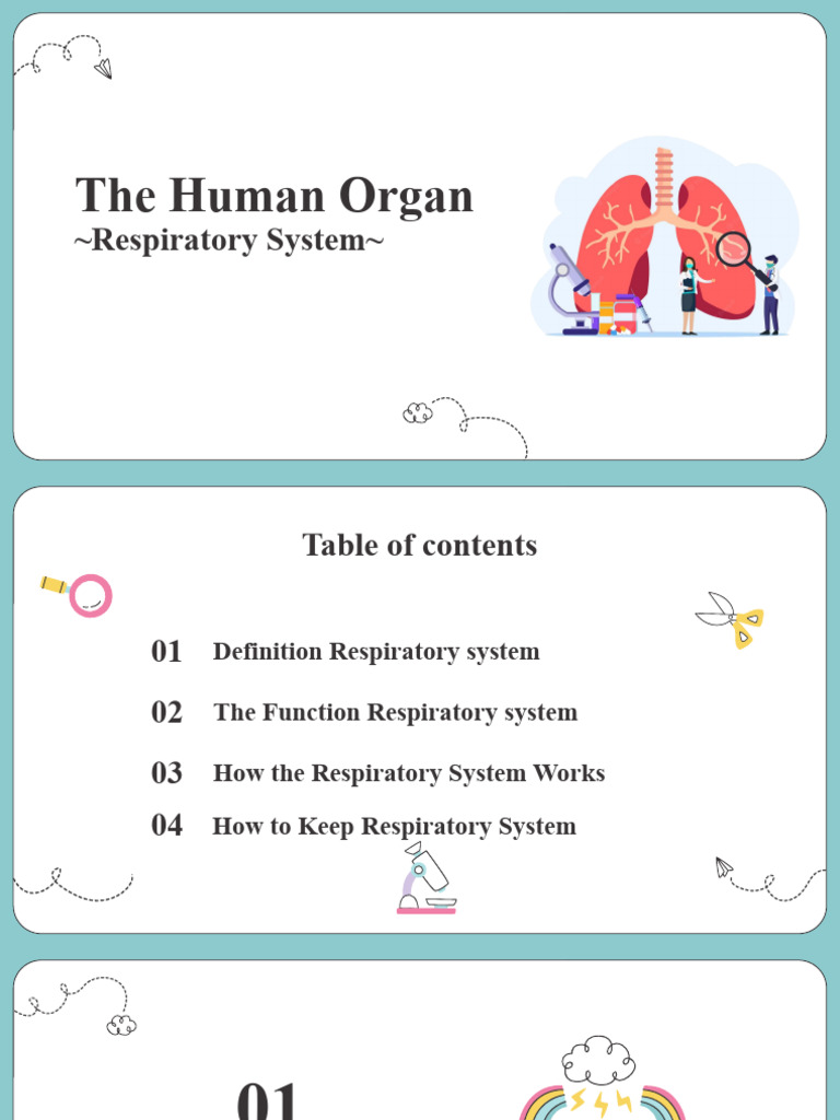 Respiratory System | PDF