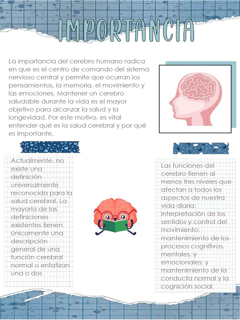 El Cerebro - Importancia 1 | PDF