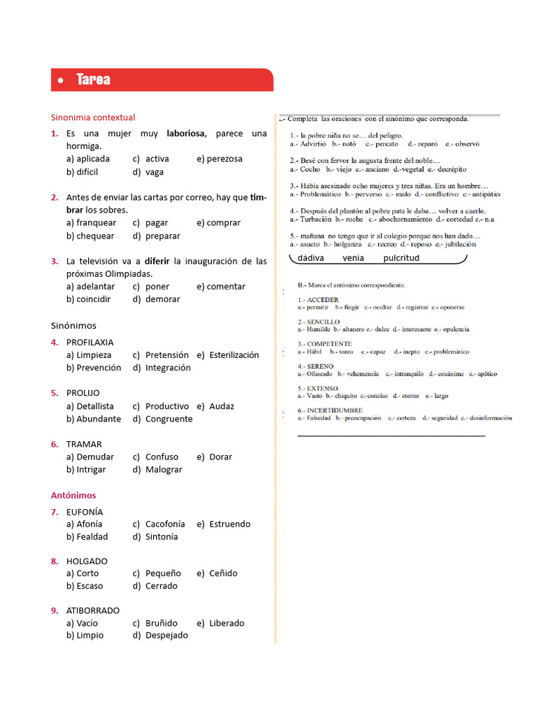 Ejercicios de Sinonimia y Antónimos | PDF