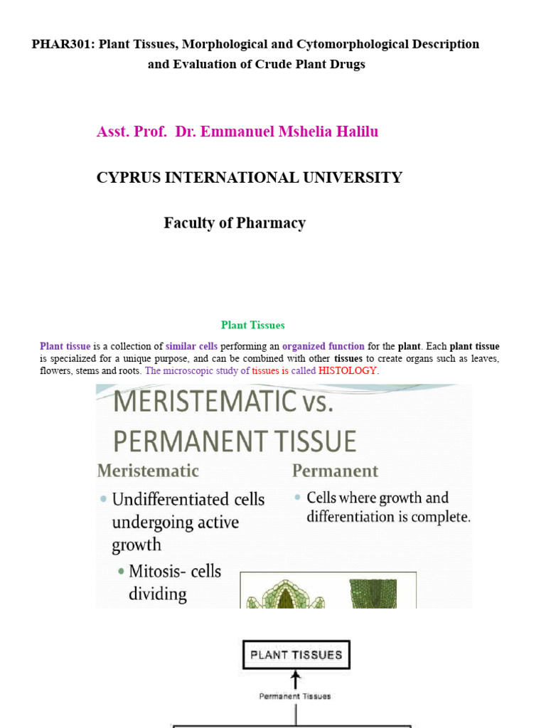 PHAR301 Lecture 2a | PDF | Leaf | Stoma PHAR301 Lecture 2a | PDF | Leaf | Stoma