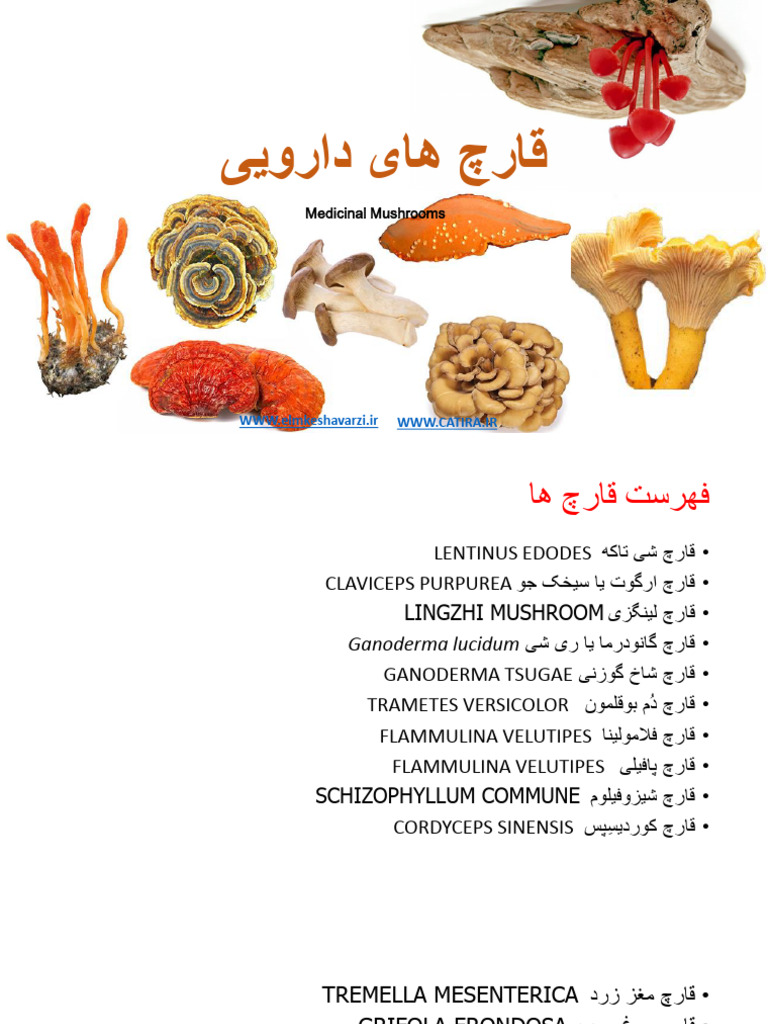 Grow Herbal Mushrooms | PDF