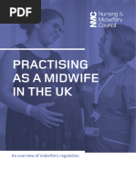 Standards-Framework-For-Nursing-And-Midwifery-Education 2023 | PDF ...