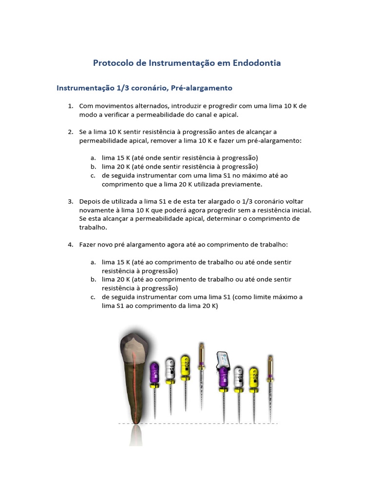 Protocolo de Instrumentação em Endodontia | PDF | Áreas da odontologia