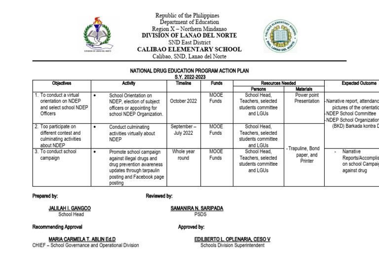 Ndep Action Plan | PDF