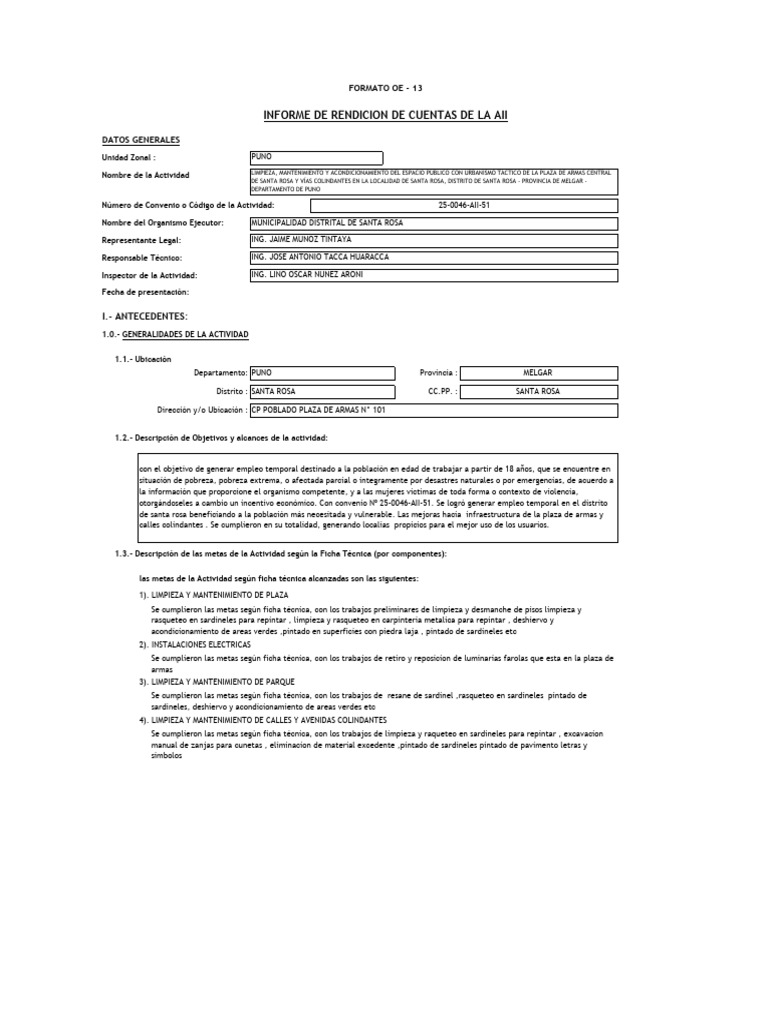 Formato OE 13 | PDF | Tecnología