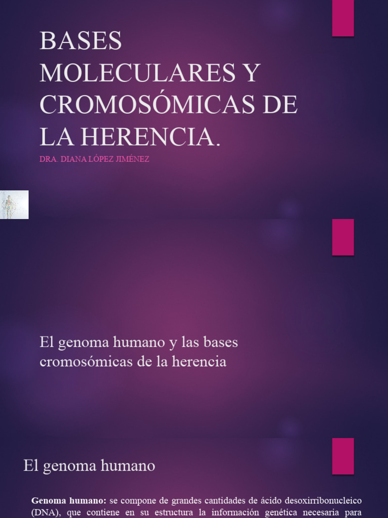 01BASES MOLECULARES Y CROMOSÓMICAS DE LA HERENCIA | PDF | Rna | Adn