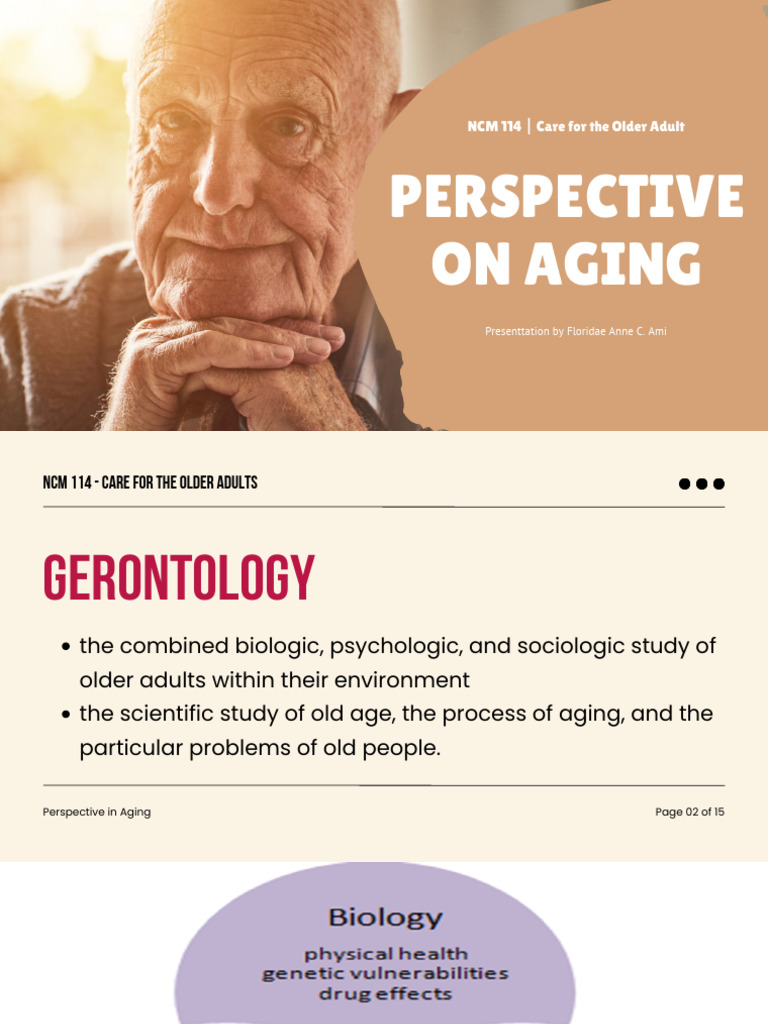 Perspective On Aging Pdf