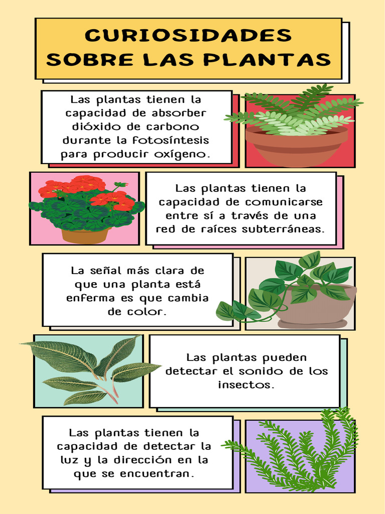 Curiosidades sobre las plantas | PDF