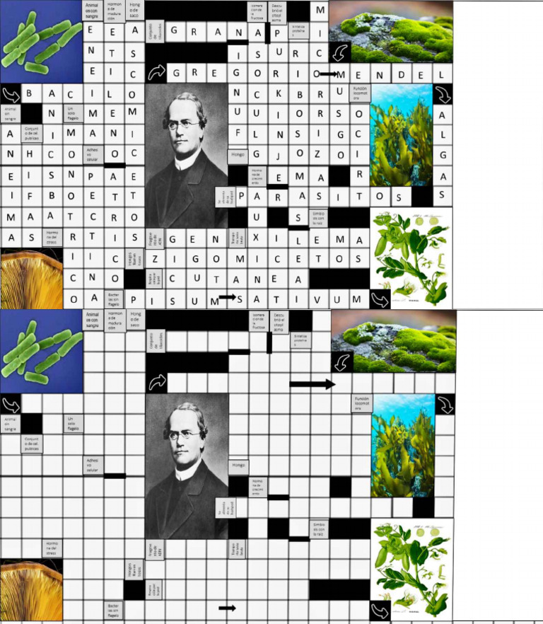Crucigrama De Biologia Pdf