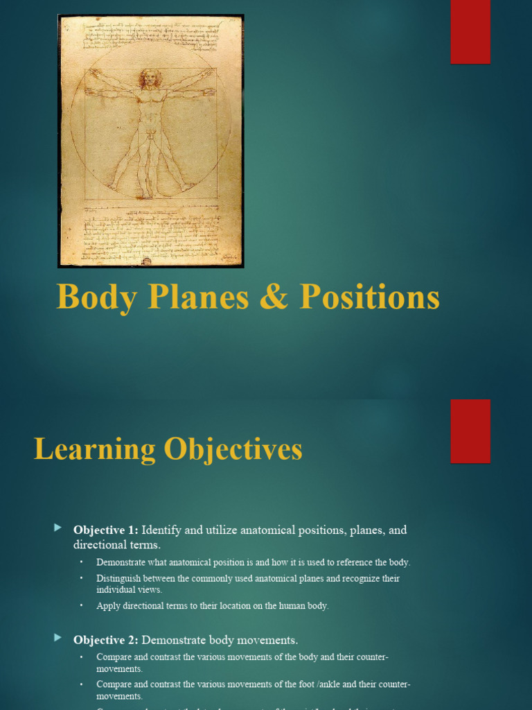 Anatomical Positions | PDF | Anatomical Terms Of Motion | Anatomical ...